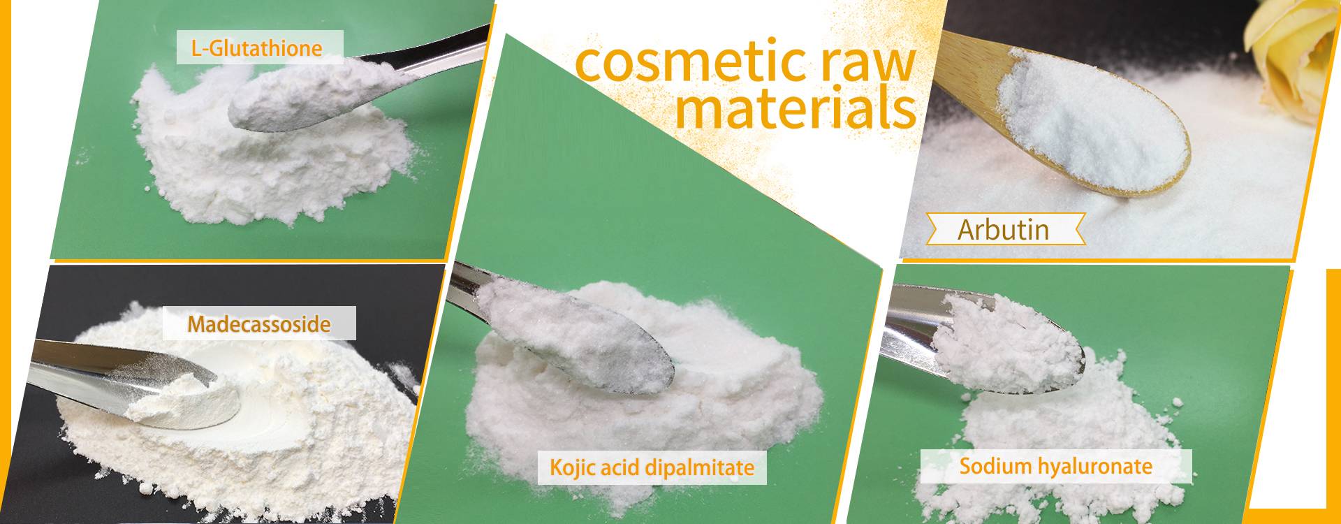 Baikal Skullcap Extract Powder